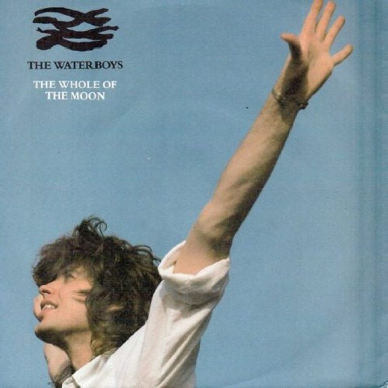 Precious Pop Pearls: The Story Behind The Waterboys "The Whole of the ...
